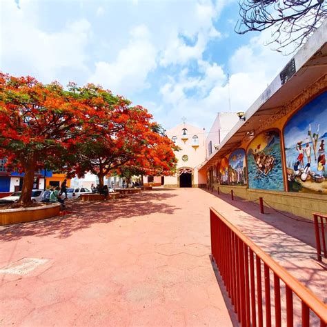 Visita Al Señor Del Huaje El Cristo Más Grande” De Jalisco Show