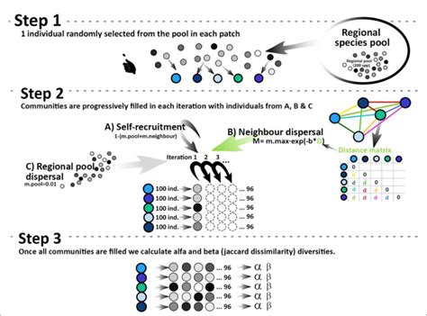 Figure Conceptual Model Illustration Representing The Two Main Steps Of
