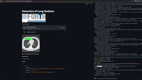 streamlit does not load weights correctly using streamlit streamlit