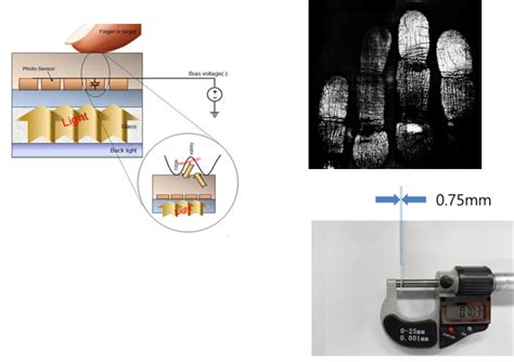 Capacitive Fingerprint Sensor 실리콘디스플레이