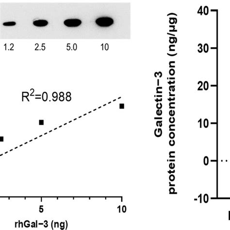 Left Standard Curve Of A Two Fold Serial Dilution Series Of