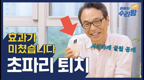 여름철 초파리 제사상 🪔 L 초파리 없애는 방법 날파리 트랩 만들기 Youtube