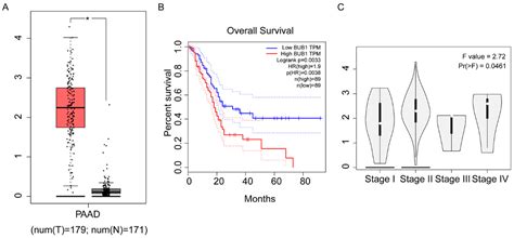 Bub1 Promotes Gemcitabine Resistance In Pancreatic Cancer Cells By