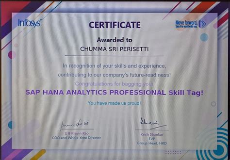 chummasri perisetti on linkedin lex sap