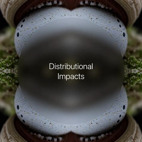 Distributional Impacts → Term