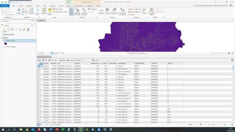 Null Values In Arcgis Pro