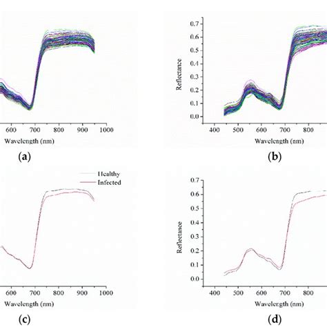 Spectra Of Sample Set 1 And 2 Ab And Corresponding Average Spectra
