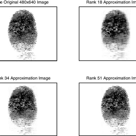 3 The Original Image And Three Lower Rank Approximation Images Download Scientific Diagram