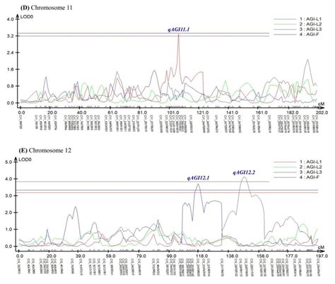 An Lod Graph Of Seven Qtls Detected By Composite Interval Mapping Cim