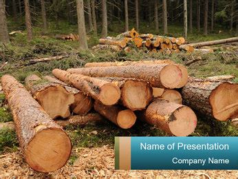 Logging Site With Piles Of Cut Down Trees PowerPoint Template Backgrounds Google Slides ID
