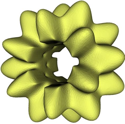 Shape Analysis Group Projects
