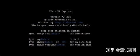 Vim创始人——bram Moolenaar去世！以后vim还会更新么 知乎