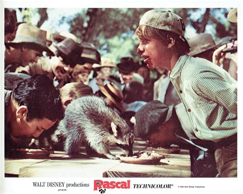 Rascal