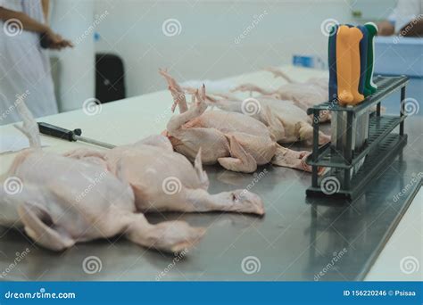 Chicken Processing In Factory Poultry Production In Food Industry