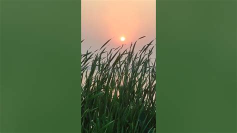 Rupnarayan River Side View Travelshorts Youtubeshortsvideo