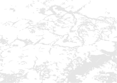 Premium Vector Pattern Texture White Background