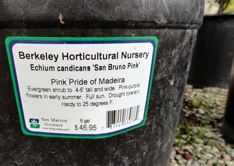 Danger Garden Visiting Berkeley Horticultural Nursery