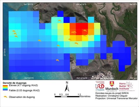 Modélisation Spatiale De La Densité De Dugongs Dans La Zone De Vavouto