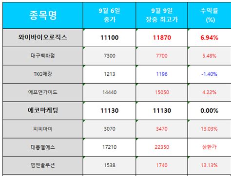 오늘의 관심 종목 수익률20240909