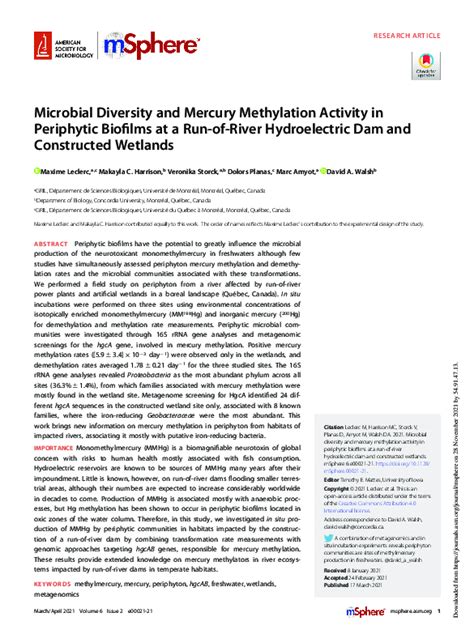Pdf Microbial Diversity And Mercury Methylation Activity In Periphytic Biofilms At A Run Of