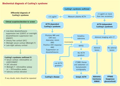 Cushing Syndrome Algorithm At Keith Turner Blog