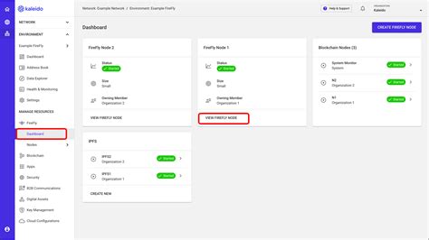 Interacting With Your Firefly System Kaleido Docs