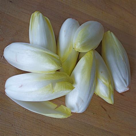 How To Use These 7 Delicious Chicories Artofit