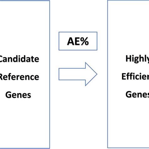 Diagram Of Experimental Design Cv Coefficient Of Variance Calculated