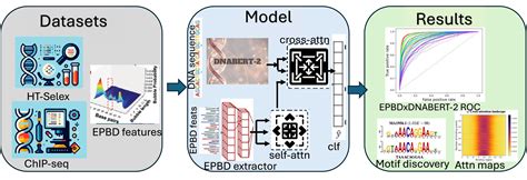 New Ai Model Improves Prediction Power For Genomics Related To Disease