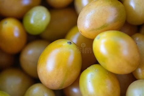 Garden Grown Small Tomatoes Stock Image Image Of Vegetarian Foods 314560149