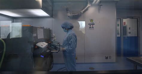 Збагачення клітин Sars Cov 2 T може бути лікуванням вірусу Infobae