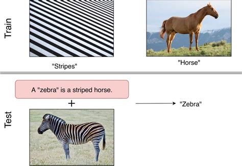 Learning Local And Compositional Representations For Zero Shot Learning