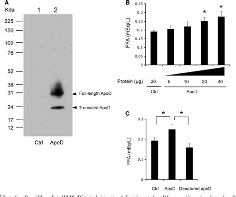 Figure 8 From A Role Of Apolipoprotein D In Triglyceride Metabolism[s] Semantic Scholar