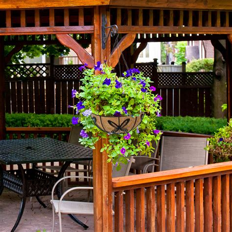 Badu Bg Метална кошница за саксия Висяща поставка за саксия за растения Саксия за цветя Плетена