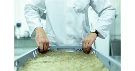 До 15 януари сдружения от фермери и учени кандидатстват по подмярка 16 1 за иновации Български