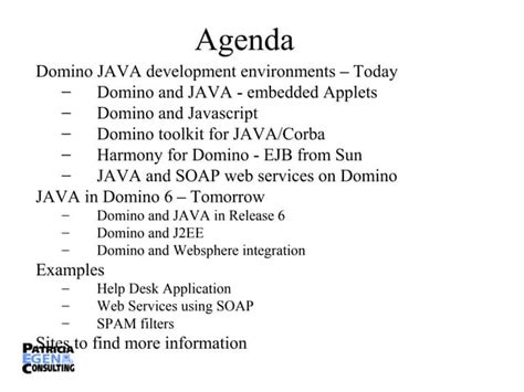 Domino Java Ppt