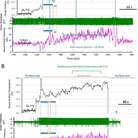 A Simultaneous Recording Of The Neural Firing Frequencies And The