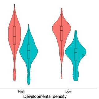 Effects Of Age And Density On Female Fecundity For Beetles From Low And Download Scientific