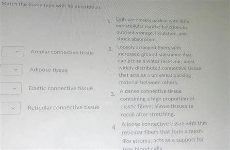 [answered] Match The Tissue Type With Its Description Areolar Kunduz