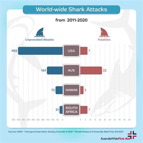 3 Species Are Responsible For Fatal Shark Attacks In Australia First