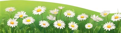 Wildflower Field Clipart Of Colorful Spring Wildflowers Field Ai