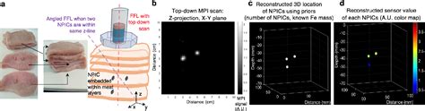 Figure 4 From A Magnetic Particle Imaging Approach For Minimally Invasive Imaging And Sensing