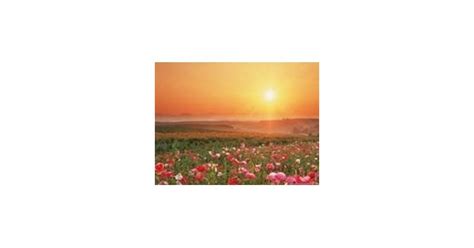 Anna Cotto Obituary 1938 2014 Legacy Remembers