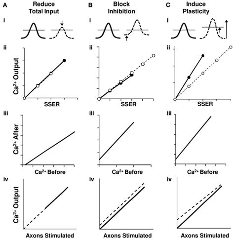 Network Summation Hypothesis Schematic Interpretation Of Results For Download Scientific