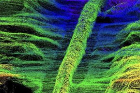 Pipeline Kîsik Geospatial Aerial Survey