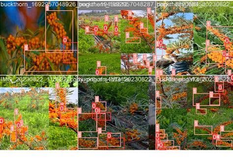 Figure 3 From Computer Vision Based Recognition Algorithm For Sea