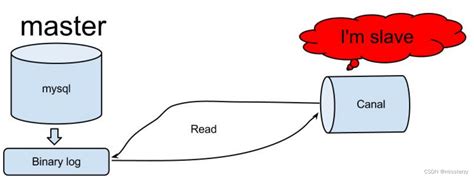 Docker环境下canal的安装使用docker安装canal Csdn博客