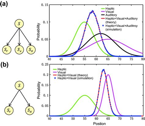 Simulation Of Multi Cue Integration A Left A Bayesian Model For