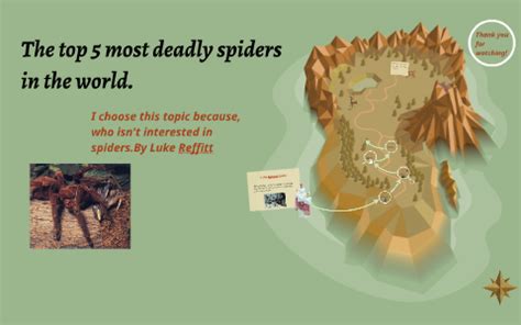 The Top 5 Most Deadly Spiders In The World By Luke Reffitt On Prezi