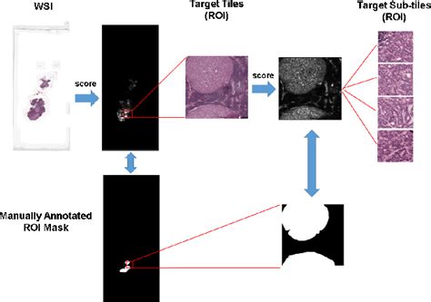 figure 1 from efficient classification of very large images with tiny
